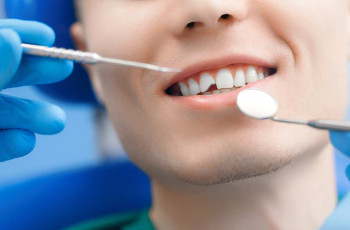 Sve o Zubima | Anatomija, struktura i vrste zuba | Marco Dental