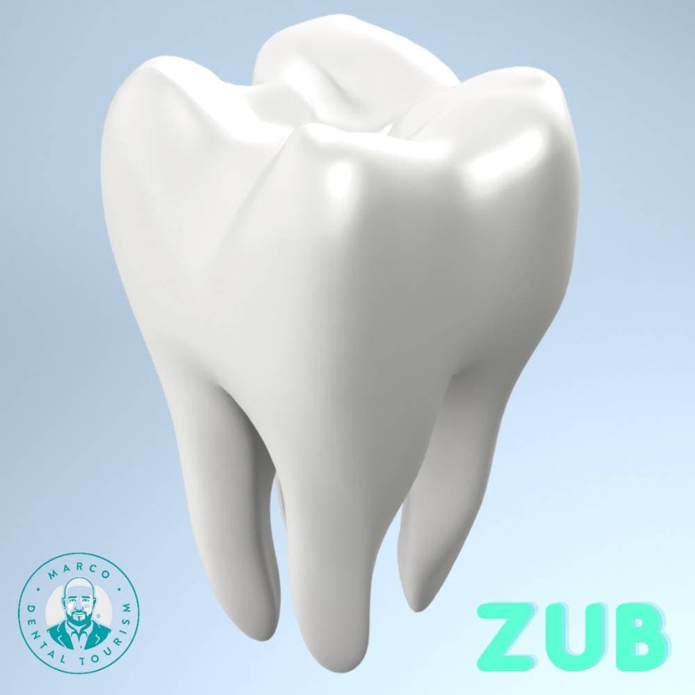 Sve o Zubima | Anatomija, struktura i vrste zuba | Marco Dental